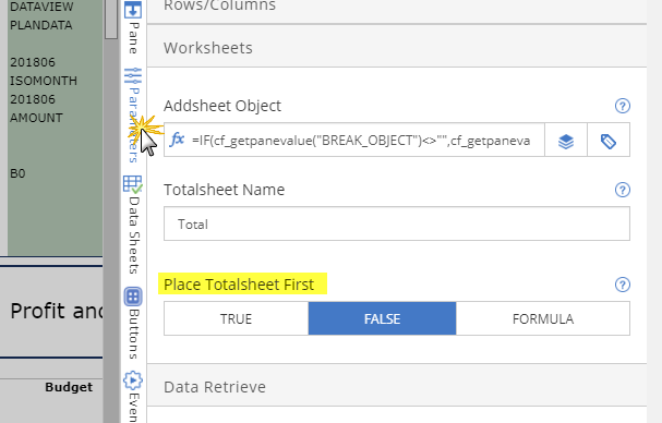 TOTALSHEET_FIRST – Bizview v22