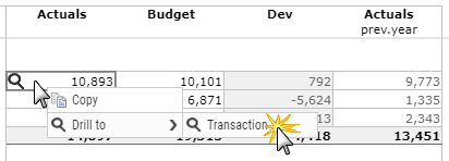 Drill Down - Forms – Bizview v22