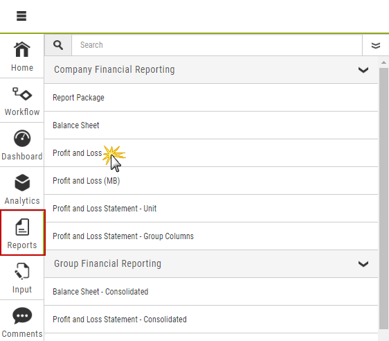 Reports – Bizview v22