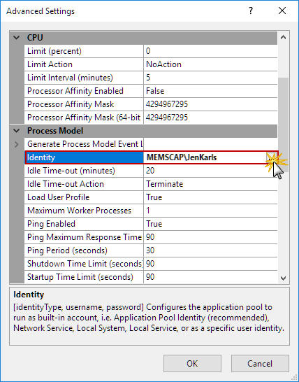 Editing Application Pool Identity to Enable PDF Viewer – Bizview v22