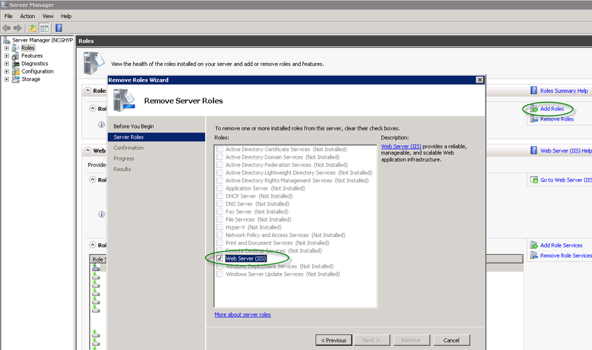 Installing IIS – Bizview v22