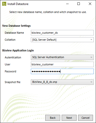 Database Settings – Bizview v22