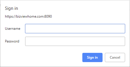 Windows Authentication – Bizview v22