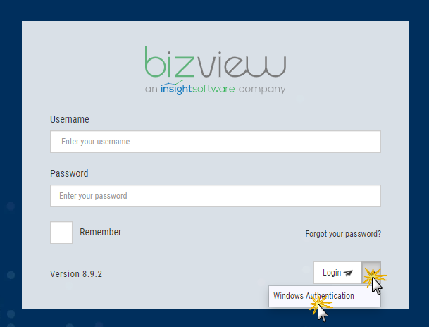 Windows Authentication – Bizview v22
